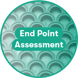 End Point Assessment – Learning Media