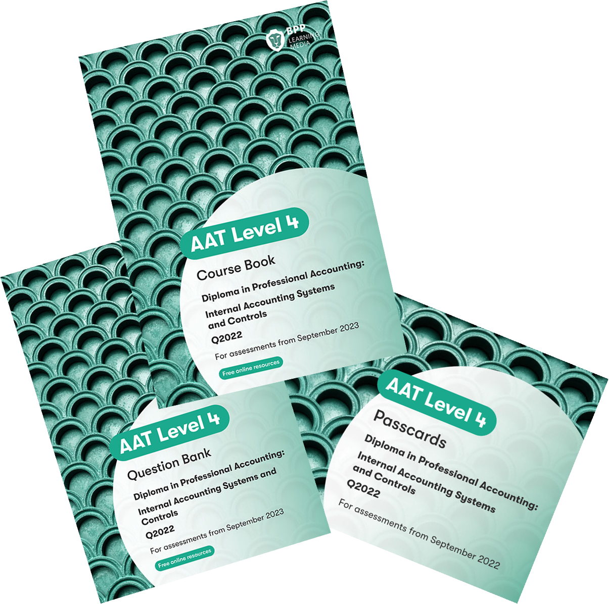 Internal Accounting Systems And Controls Learning Media